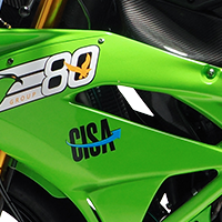 Kawasaki Puccetti Racing